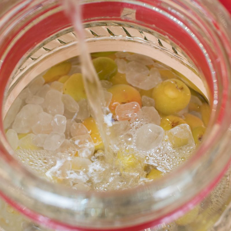 Japanese Plum Liqueur – Happy Donabe Life
